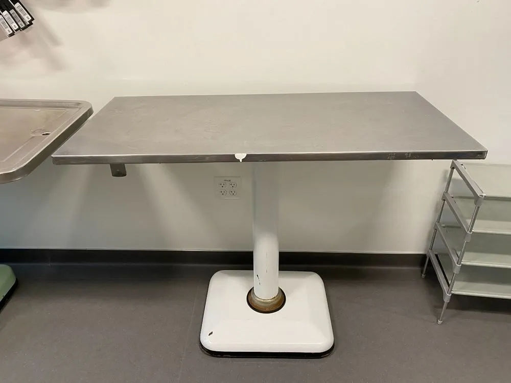 Fixed Veterinary Examination Table, For Hospital